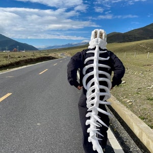 T-rex Skeleton Flax Outfit: EDM Dinosaur Rave Clothes - Etsy