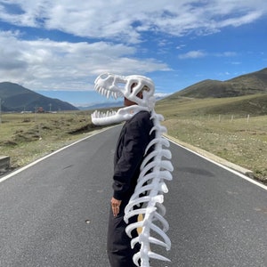 T-rex Skeleton Flax Outfit: EDM Dinosaur Rave Clothes - Etsy