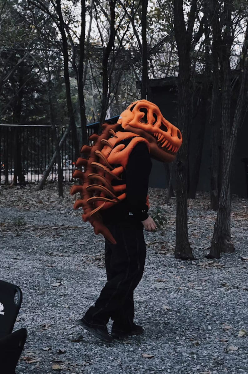 Ancient Aura: Tyrannosaurus Rex Skeleton Orange Cloth A Prehistoric ...