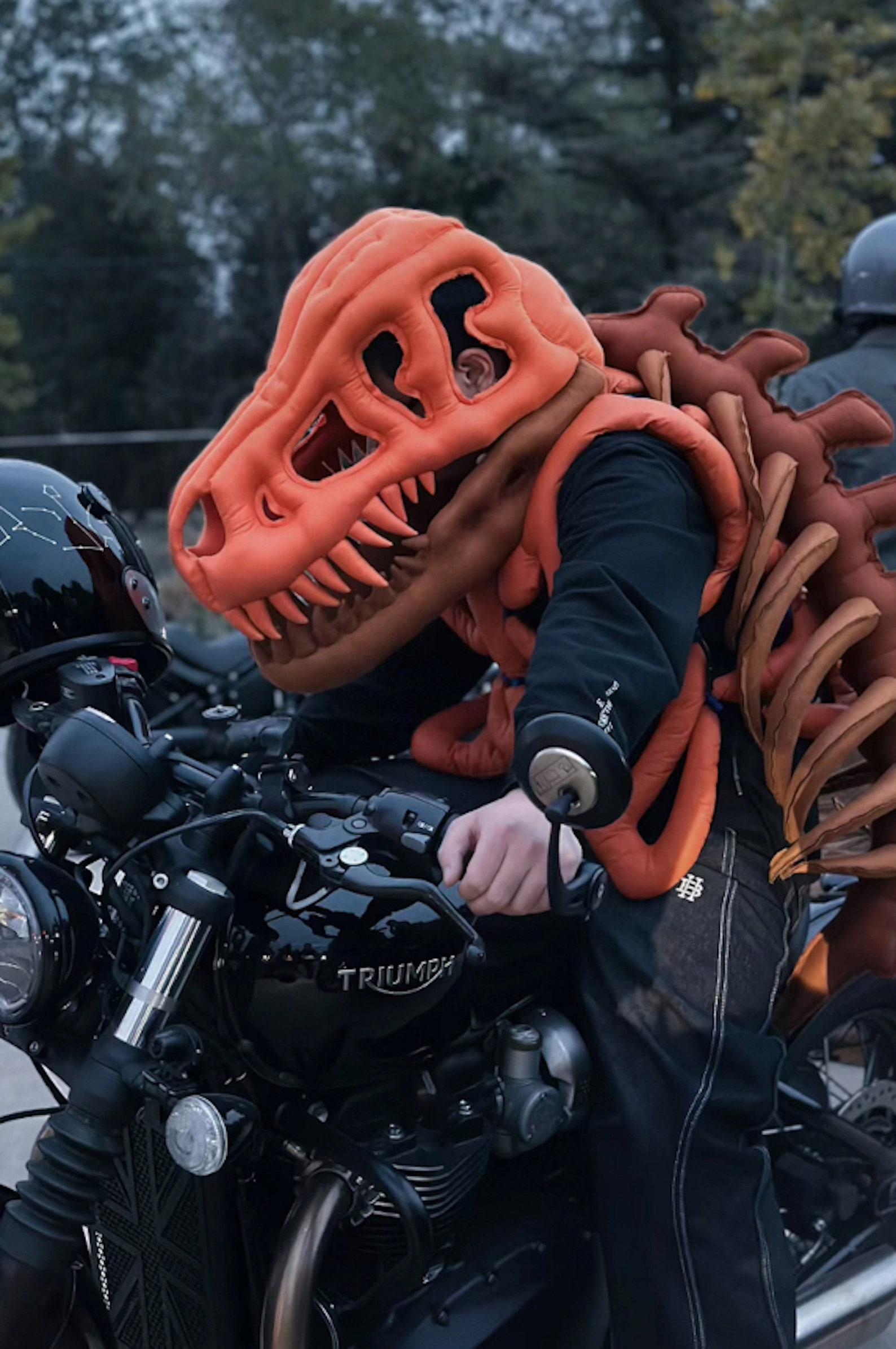 Ancient Aura: Tyrannosaurus Rex Skeleton Orange Cloth A Prehistoric ...