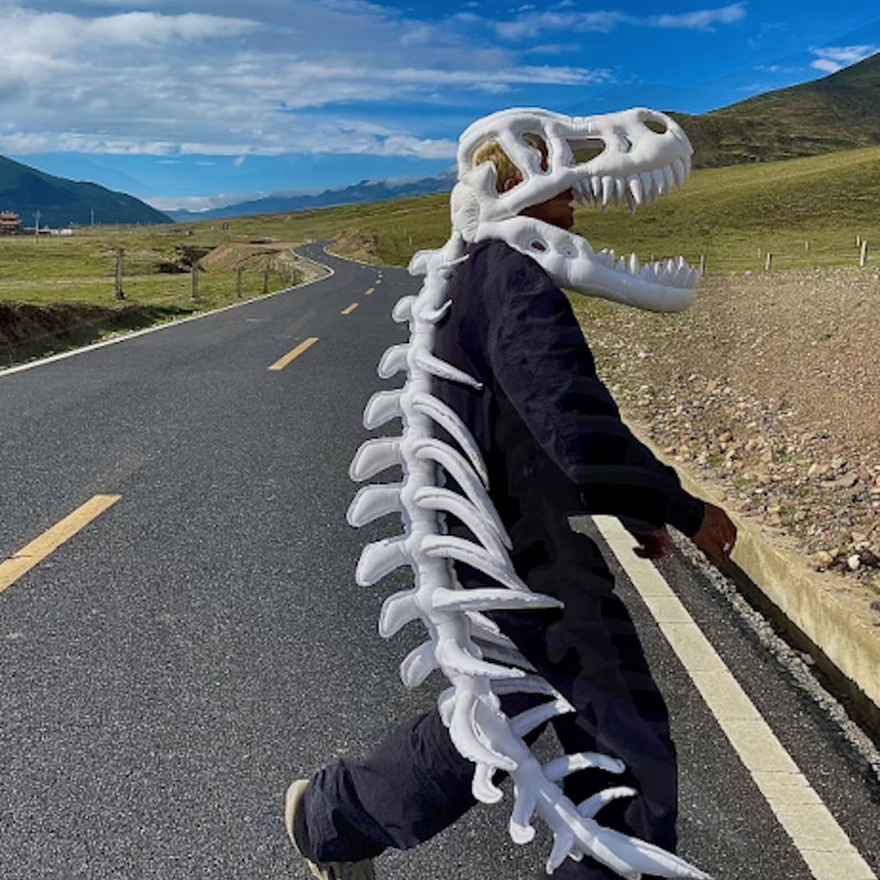 Elias Duarte Lopez Dinosaur Hapush Braids Now - Etsy Canada