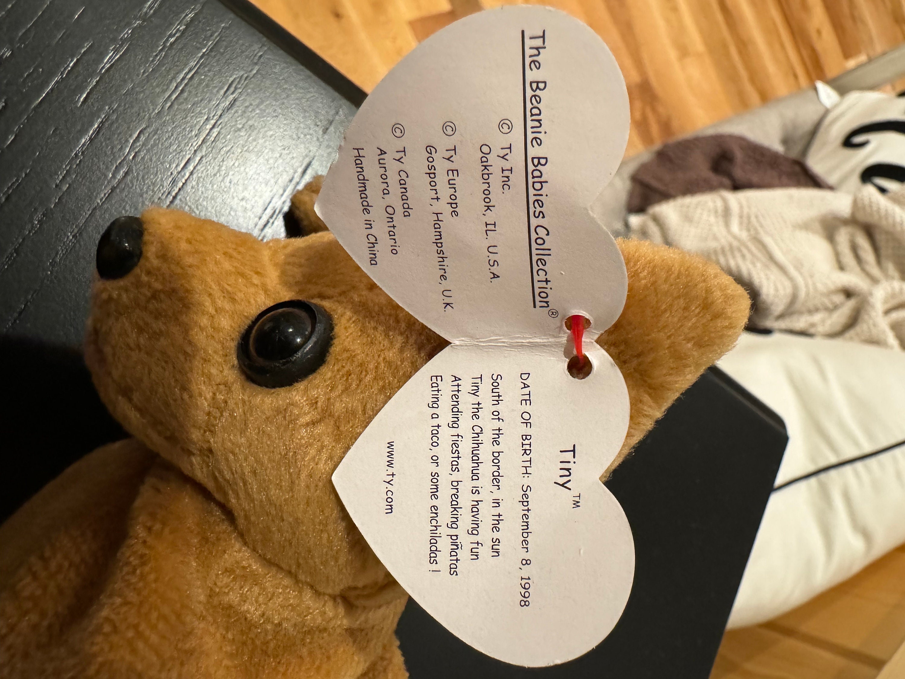 TY Tiny Beanie Baby RARE With Tag Errors - Etsy