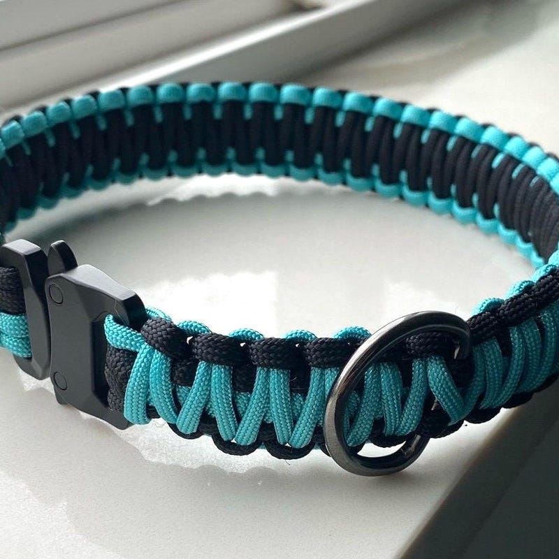 Paracord Dog Collar - Etsy