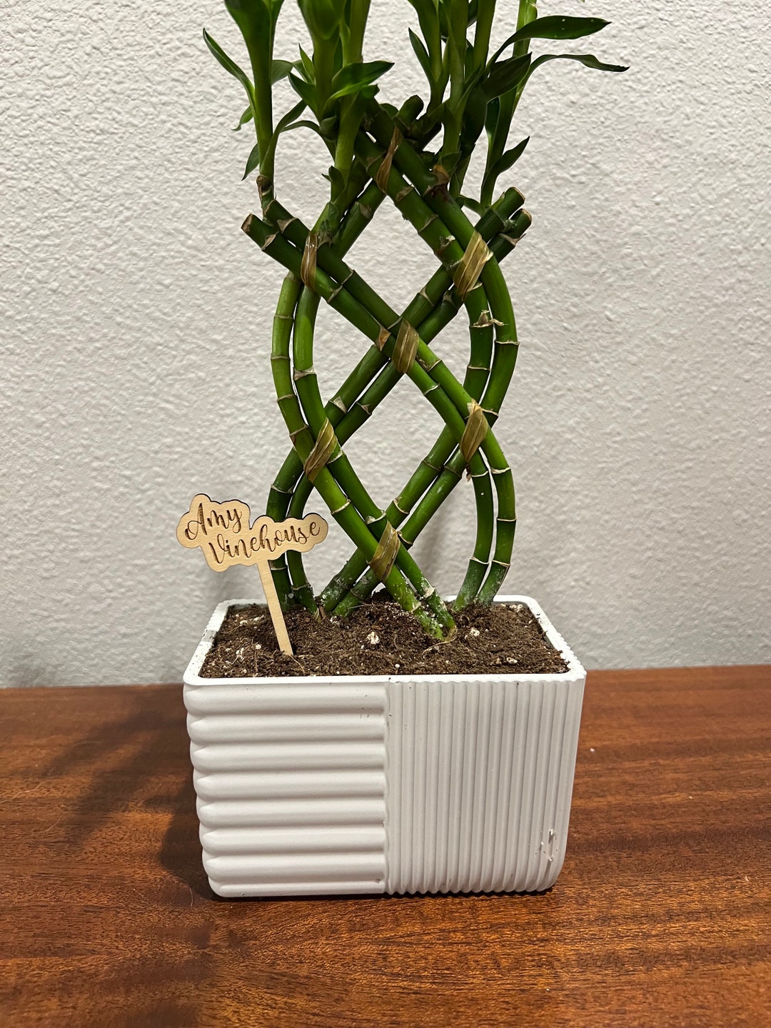 Amy Vinehouse Star Studded Greenery Celebrity-inspired Laser Engraved ...