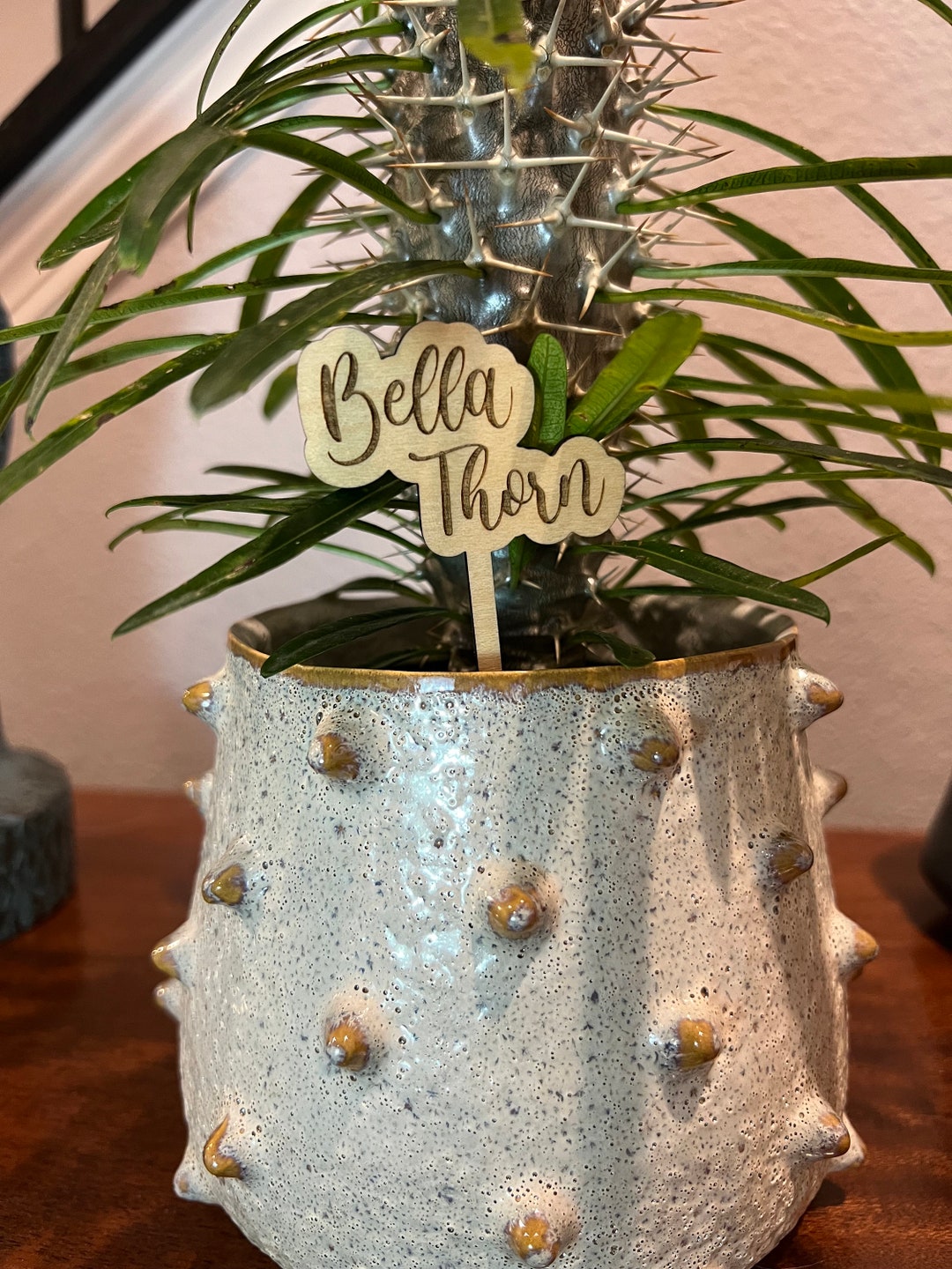Bella Thorn Star Studded Greenery Celebrity-inspired Laser Engraved ...
