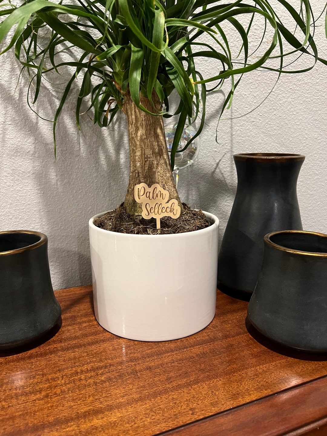 Palm Selleck Star Studded Greenery Celebrity-inspired Laser Engraved ...