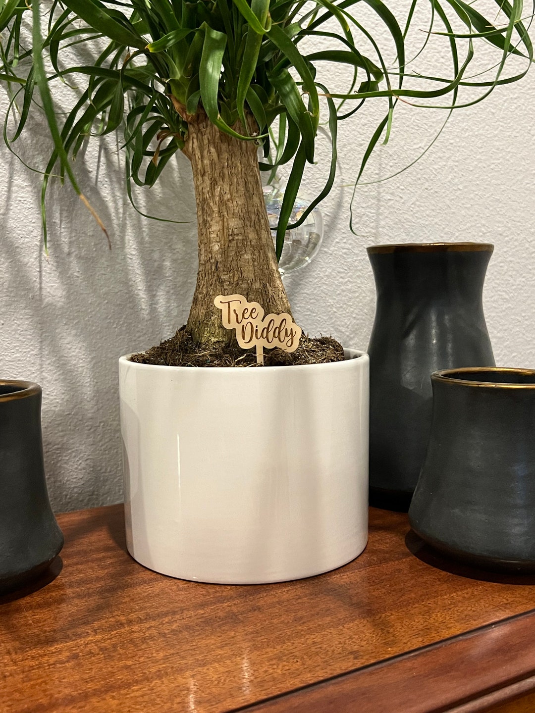 Tree Diddy Star Studded Greenery Celebrity-inspired Laser Engraved ...