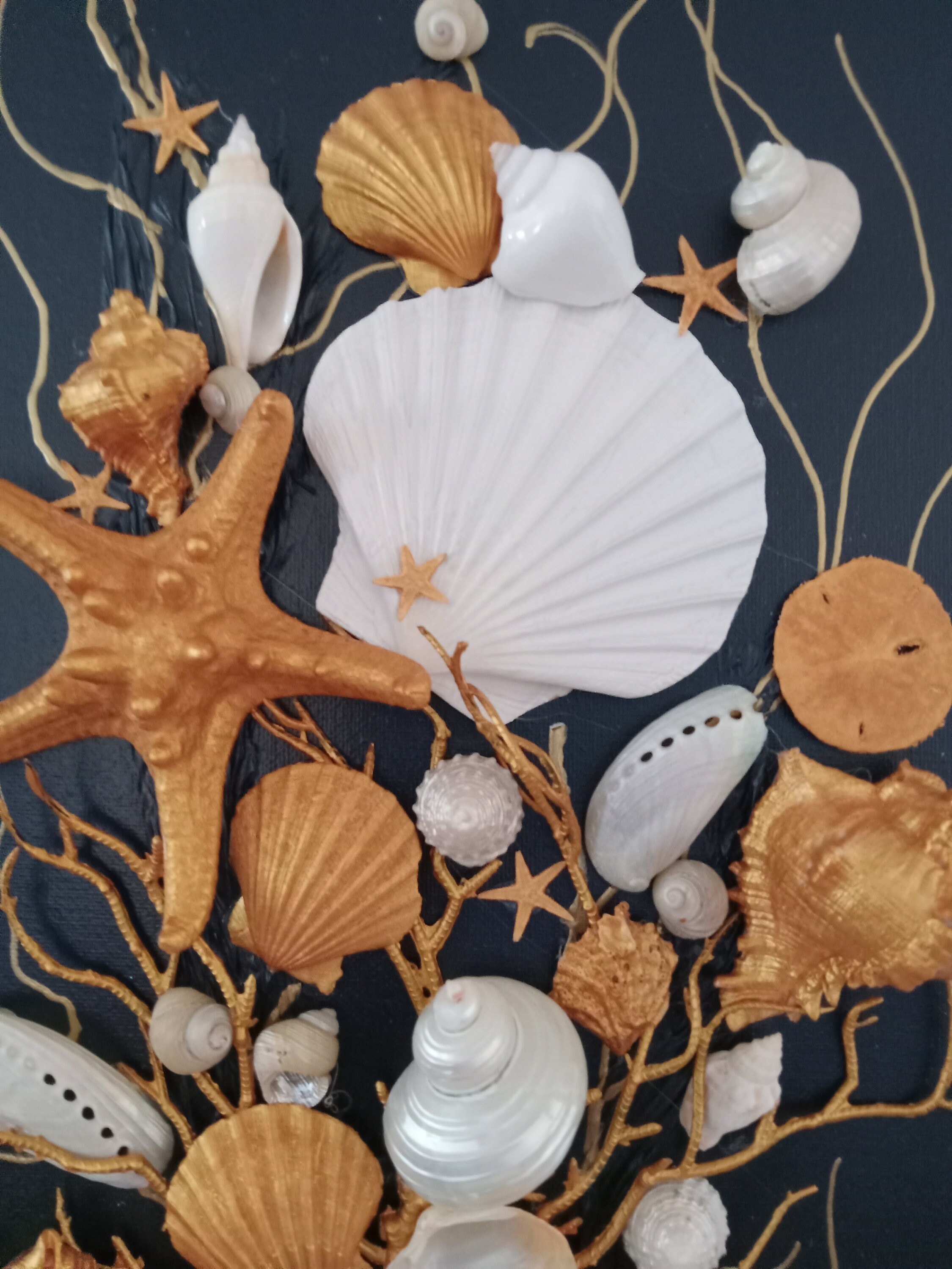 Seashell Coastal Beach Art Decor, Seashell Art, Coastal Home Decor ...