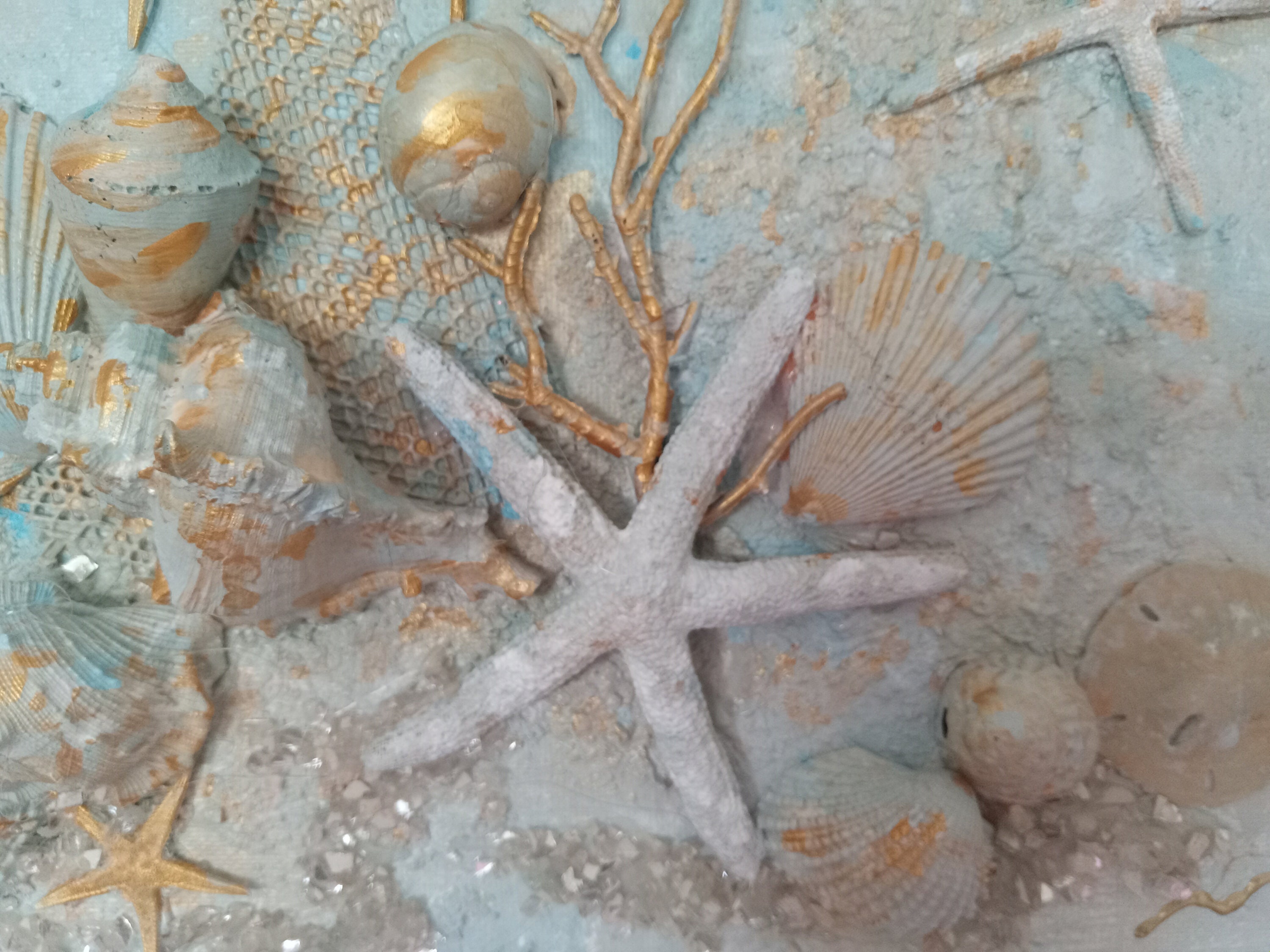 Coastal Decor Shell Wall Art - Etsy