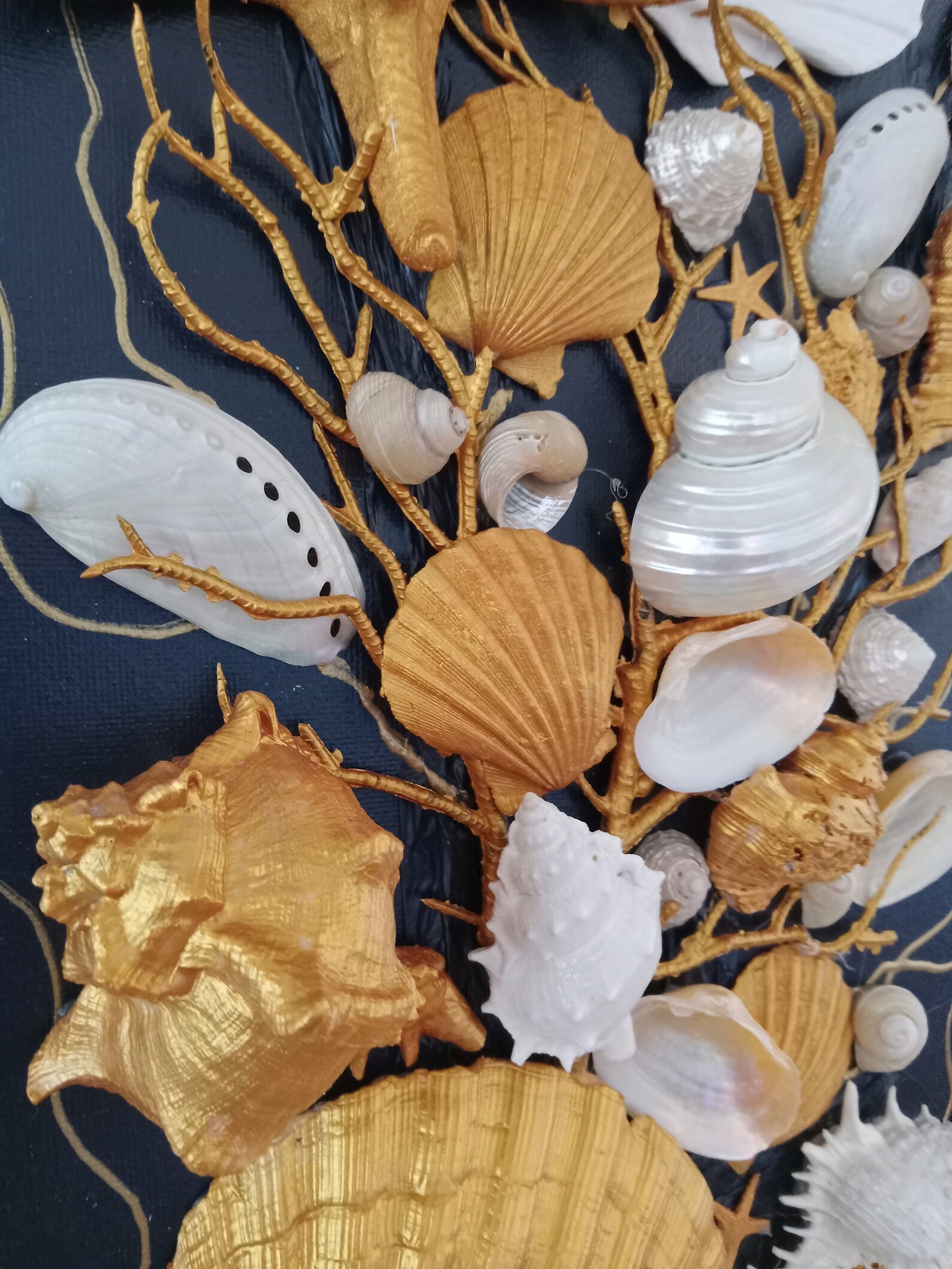 Seashell Coastal Beach Art Decor, Seashell Art, Coastal Home Decor ...