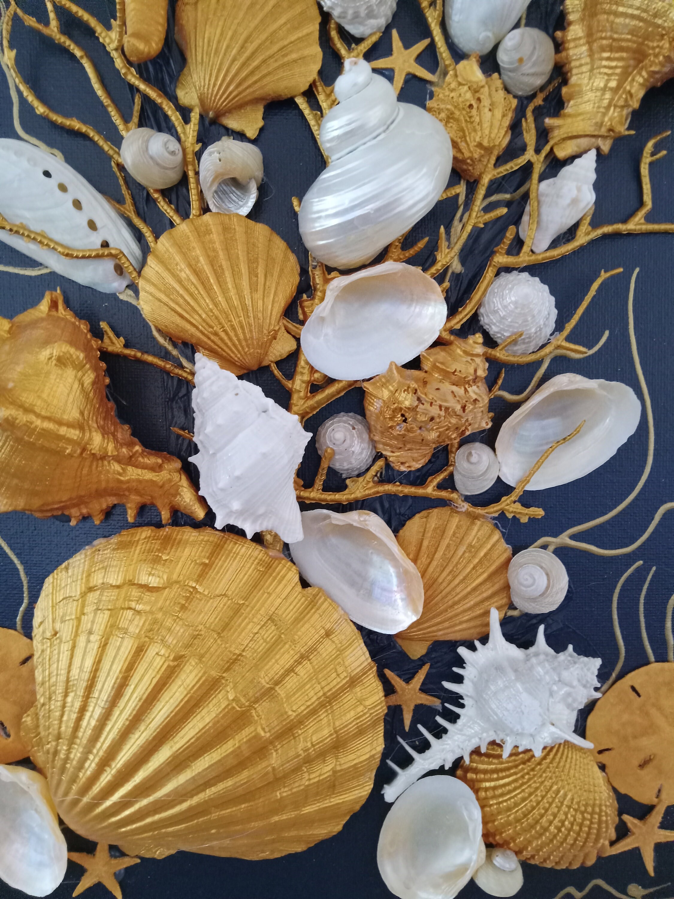 Seashell Coastal Beach Art Decor, Seashell Art, Coastal Home Decor ...