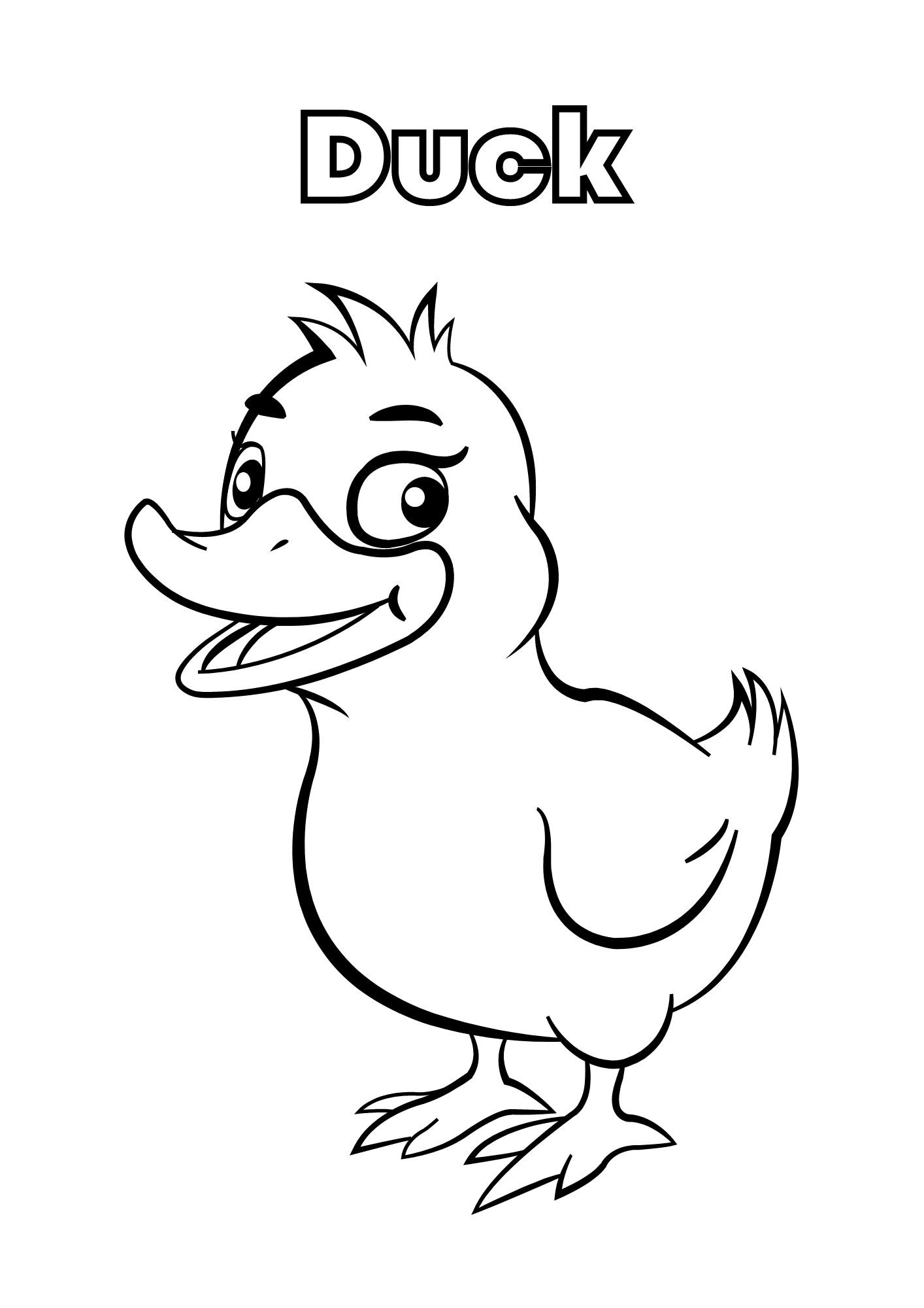 Animal Sketch Worksheet Activity Elementary School animal Prints animal ...