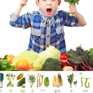 72 Printable Flashcards for Kids Aimed for Learning and Eating Heathy ...