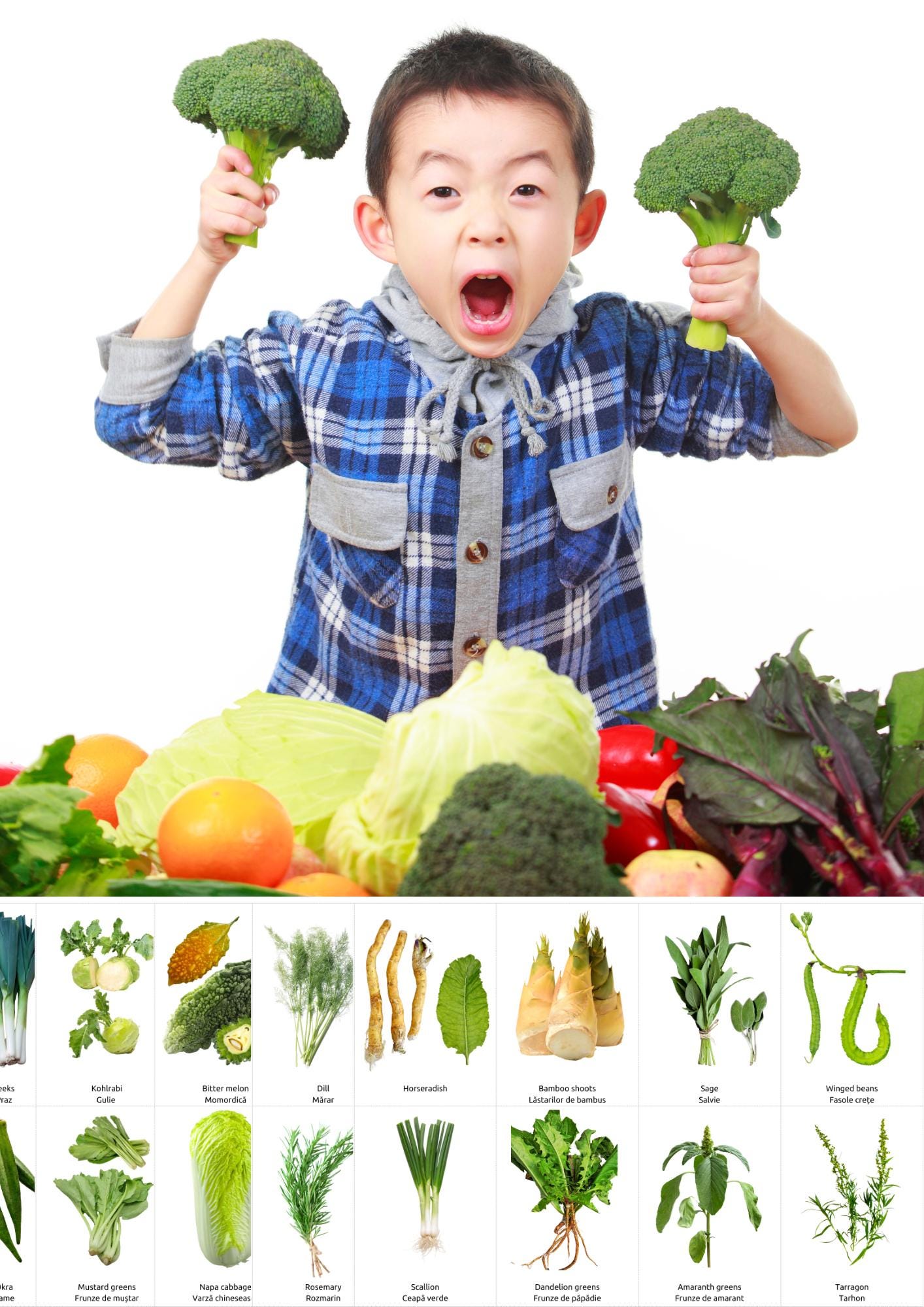 72 Printable Flashcards for Kids Aimed for Learning and Eating Heathy ...