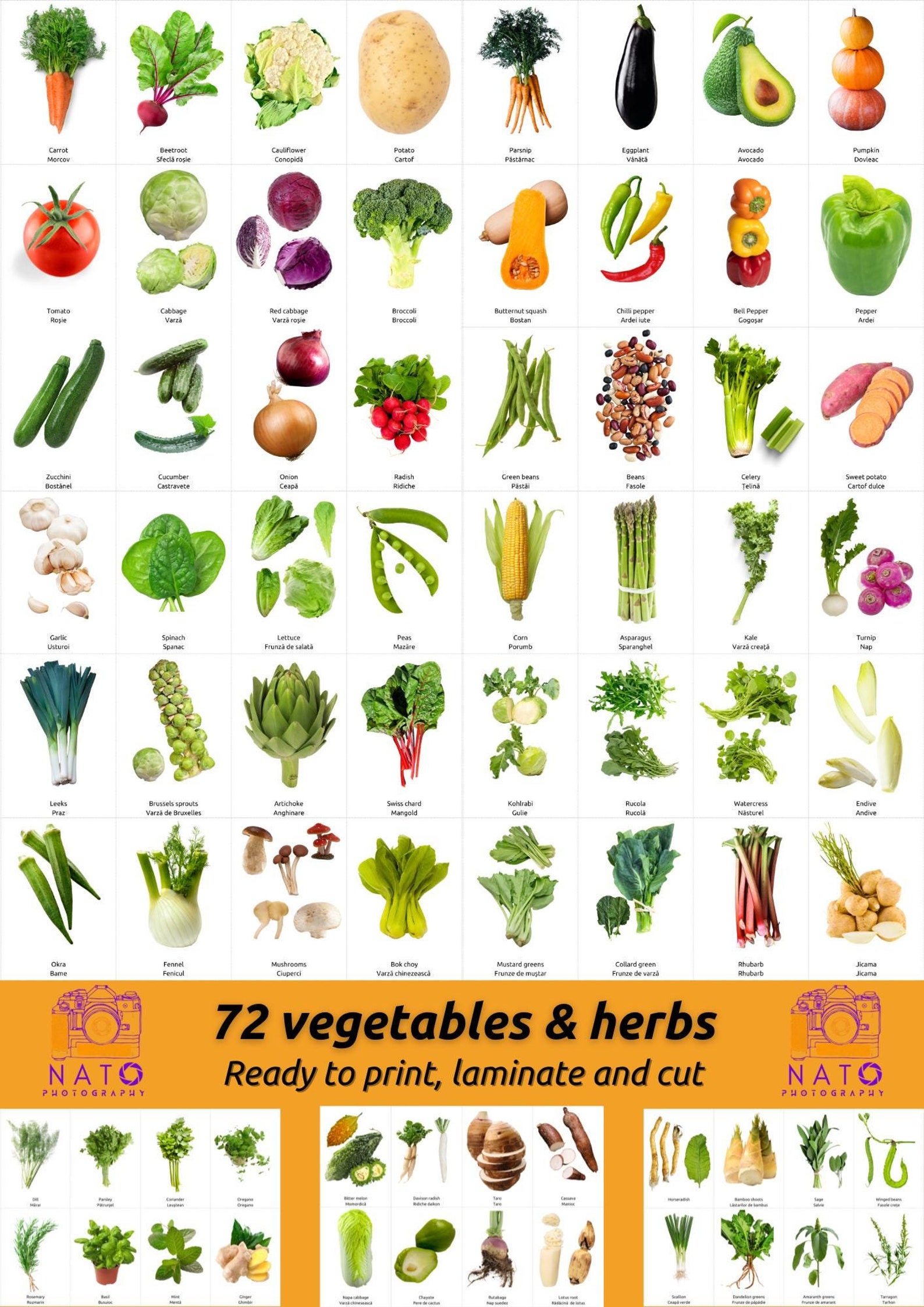 72 Printable Flashcards for Kids Aimed for Learning and Eating Heathy ...
