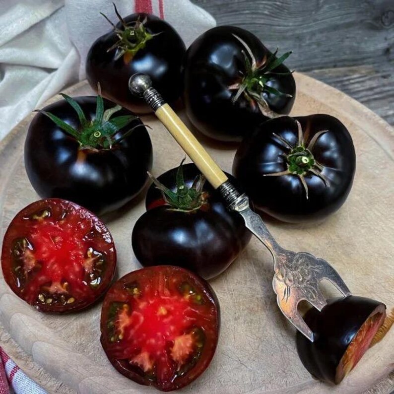 Black Beauty Tomato Seeds: Organic, High Antioxidant, Non-gmo - Etsy