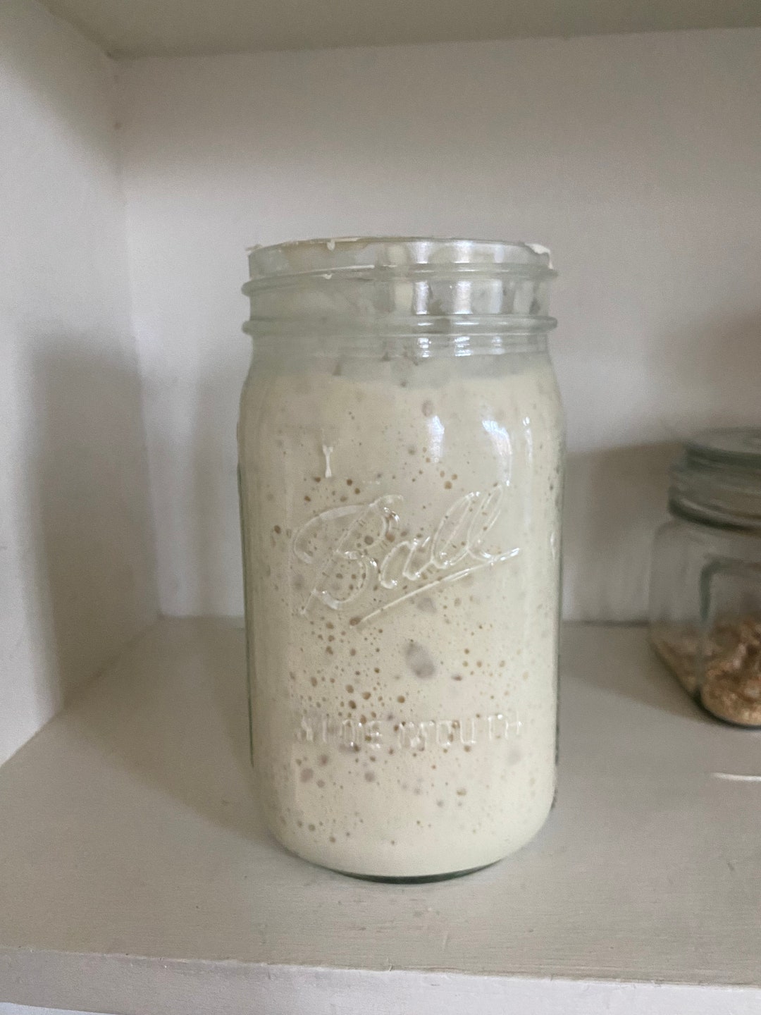Fresh Bubbly Active Sourdough Starter and Mason Jar Ready to Use - Etsy