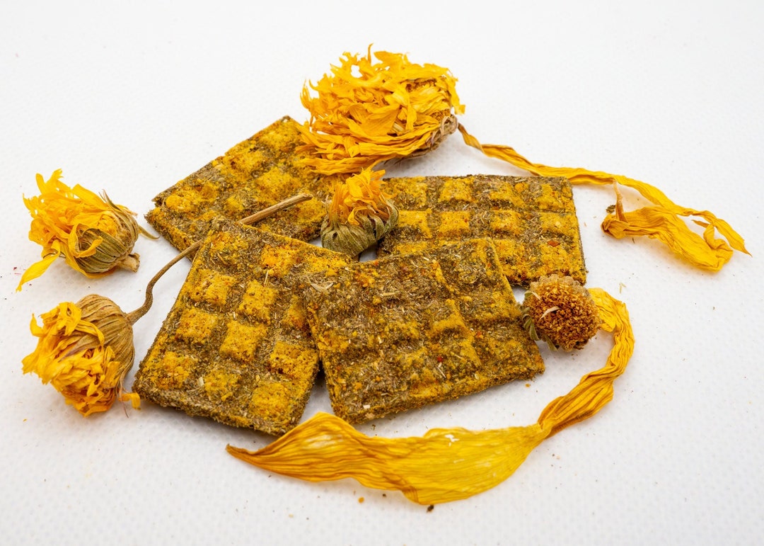 Delicious Treats for Rabbits and Rodents Mini Chocolate With Bee Pollen ...