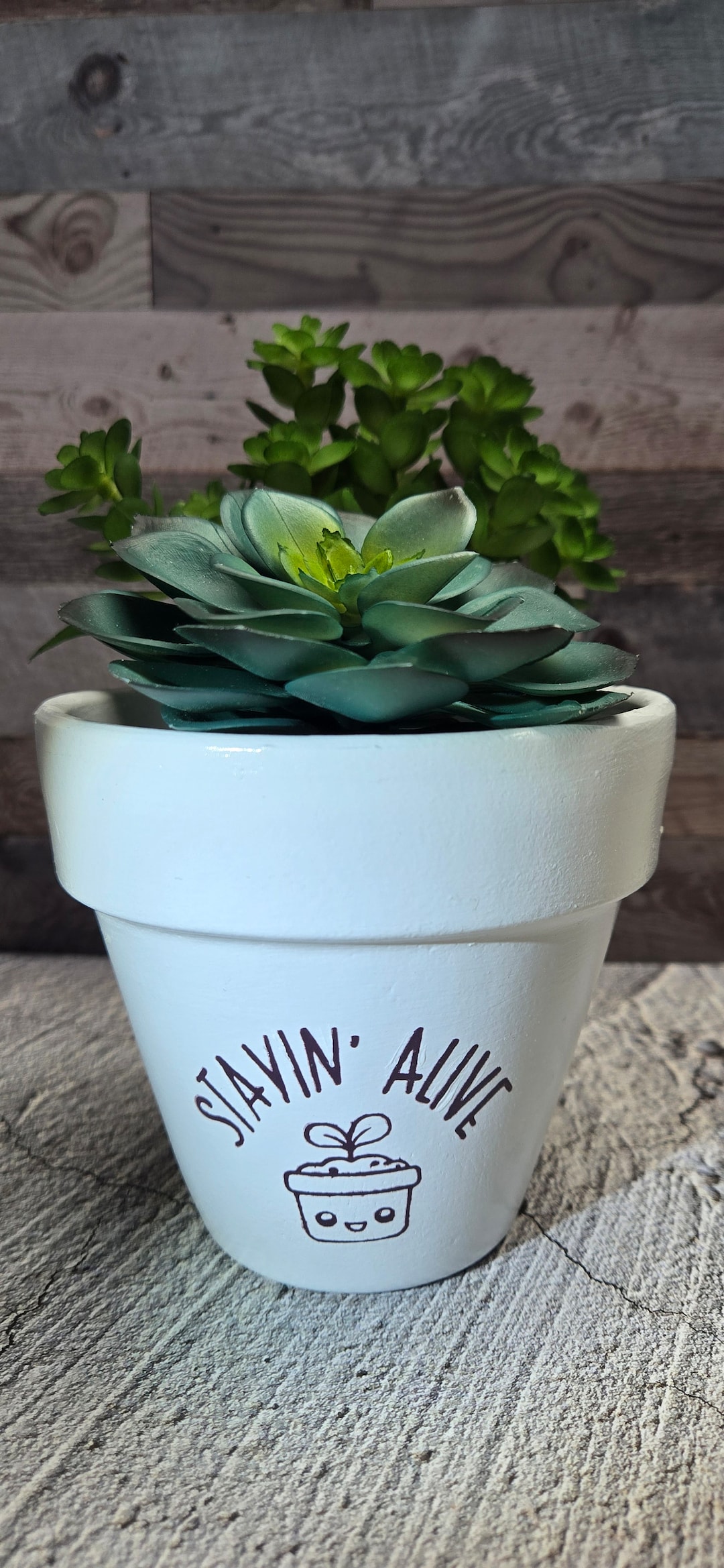 4 Inch Succulent Pot - Stayin' Alive - Etsy