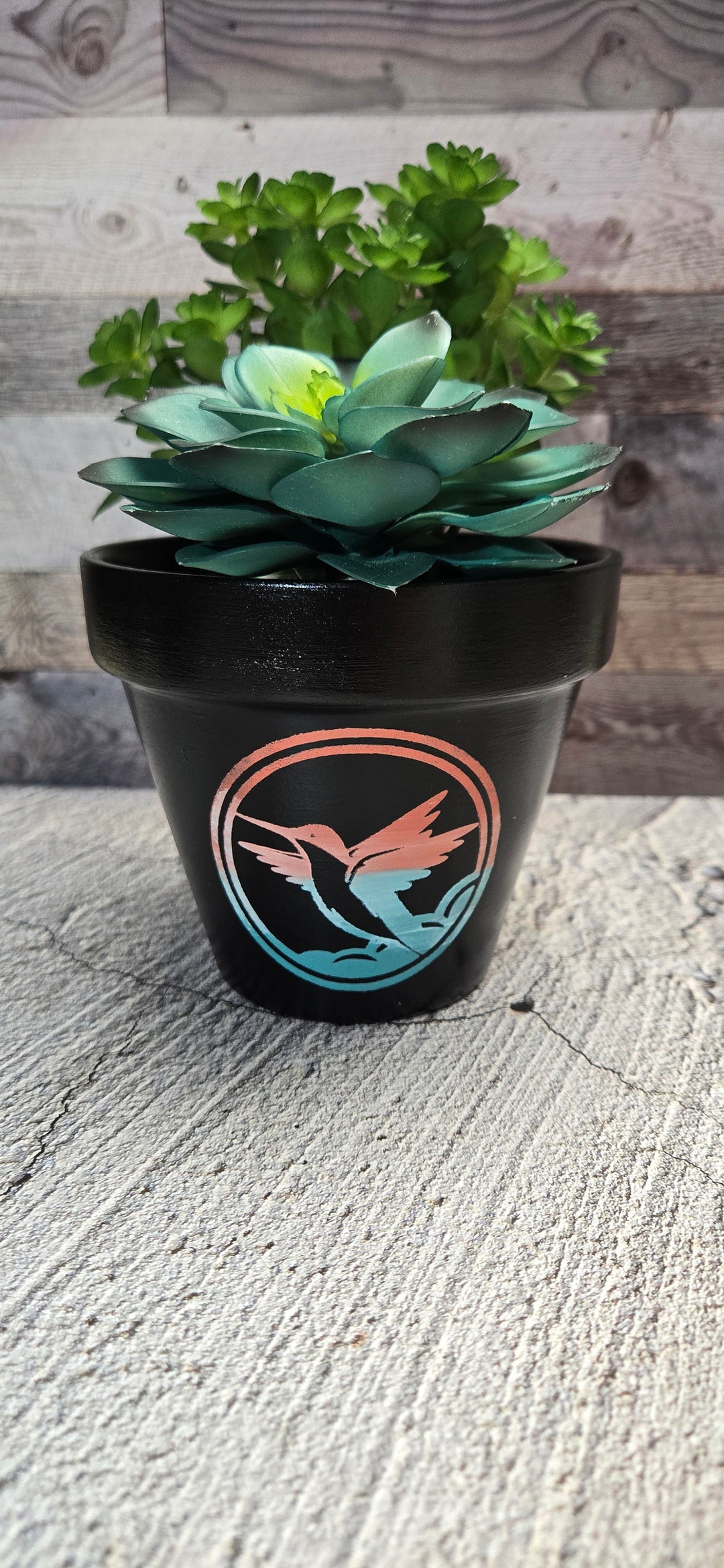 4 Inch Succulent Pot - Hummingbird - Etsy