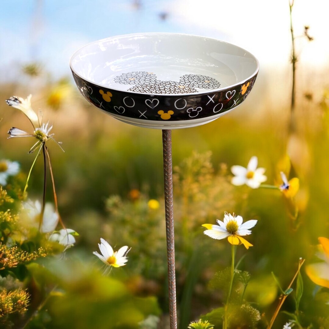 Mickey Mouse Themed Ceramic Mini Flowerpot Bird Bath, Bold Black Orange ...