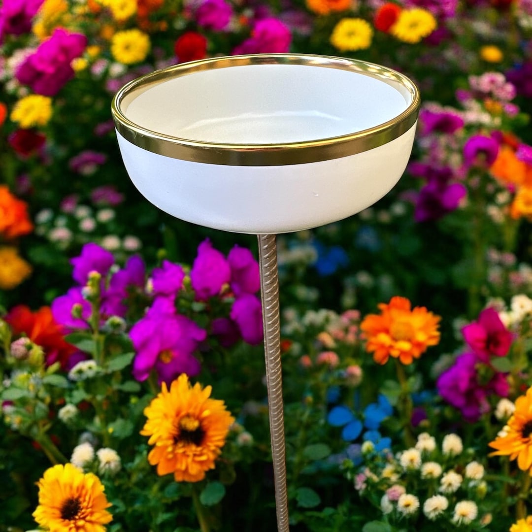 Mini Bird Bath, Elegant White Ceramic With Wide Gold Rim, Complements ...