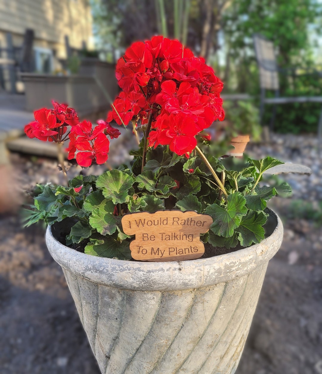 Funny Flower Pot Sign Sayings for Plant Lover, Indoor Flower Pots, Laser Cut, Herb Garden Signs ...
