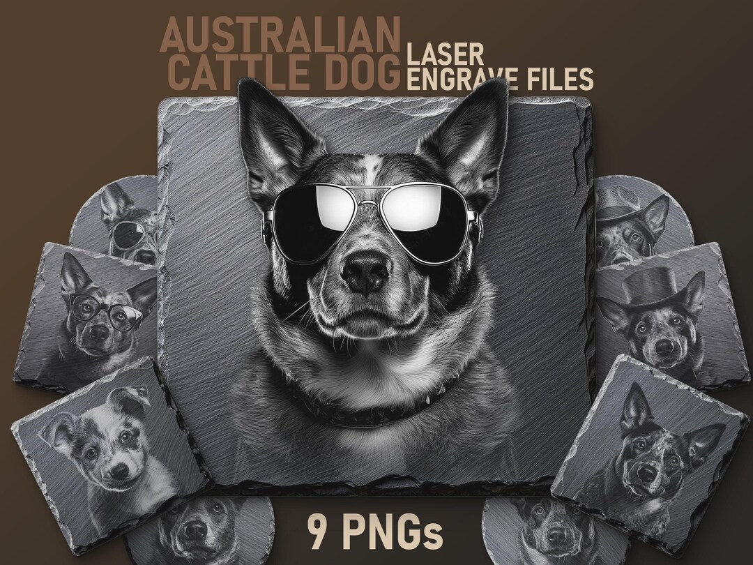 Australian Cattle Dog Engraving Files: High-resolution Pngs (digital ...