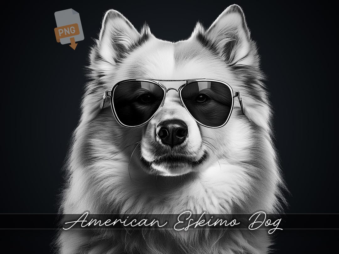 American Eskimo Dog With Shades PNG File High-resolution Transparent ...