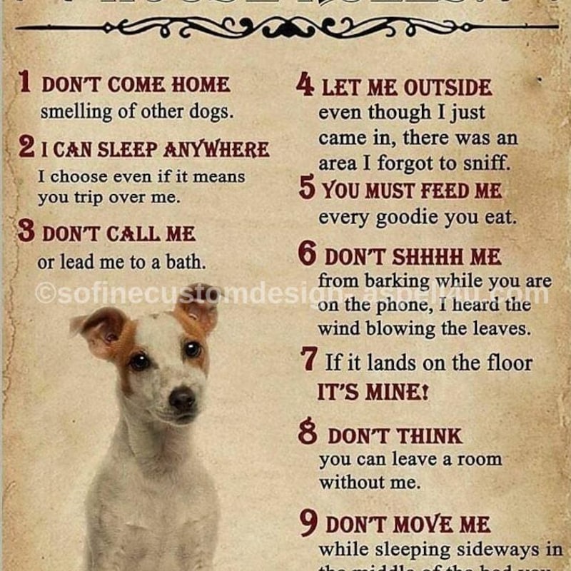 Custom House Rule Poster - Etsy