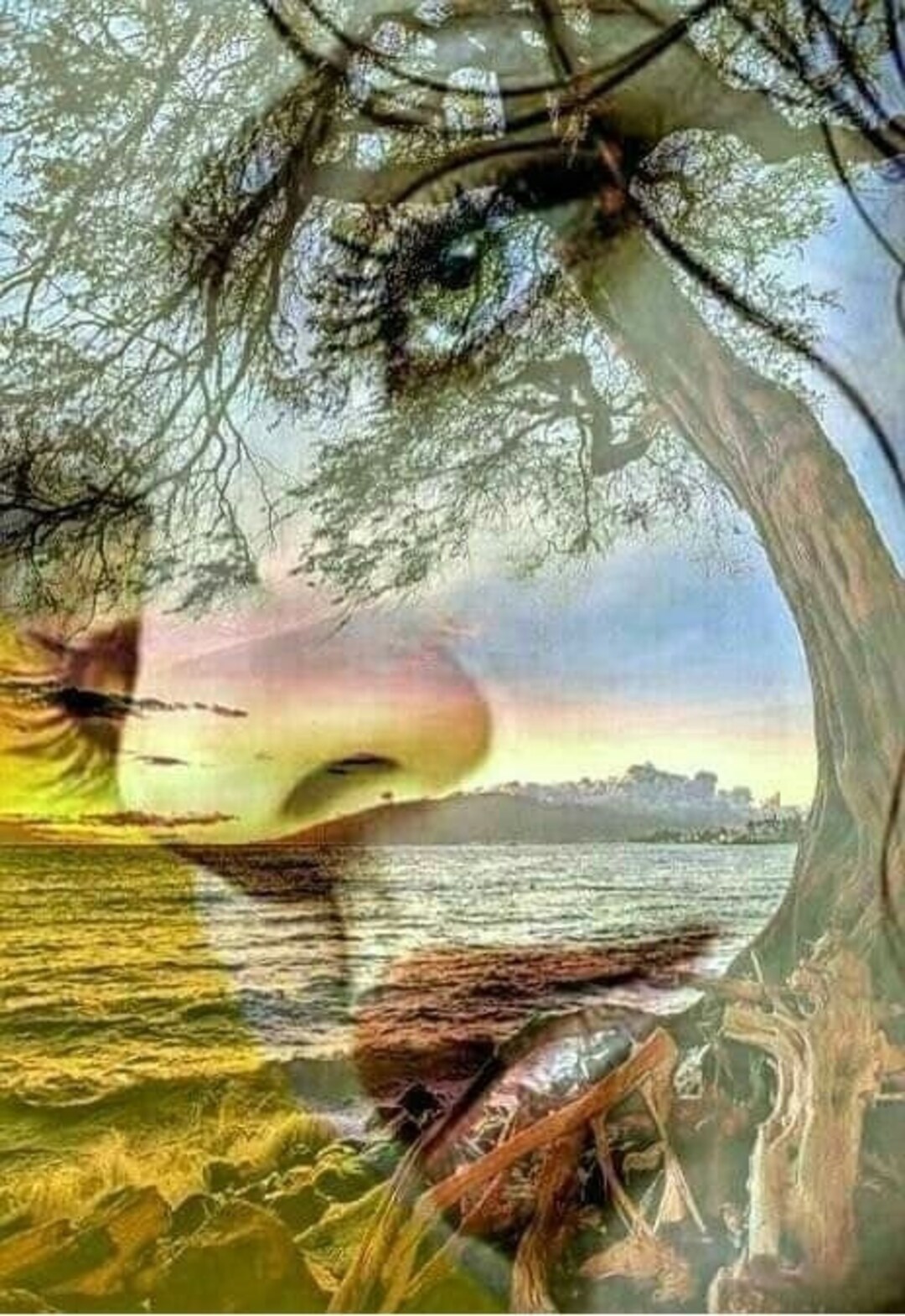 Face in the Forest Creatively Painted Hidden Image Hand Crafted One of ...
