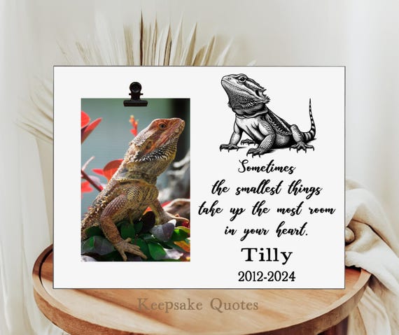 Bearded Dragon Quotes Bearded Dragon Symbolism & Meaning | Spirit,