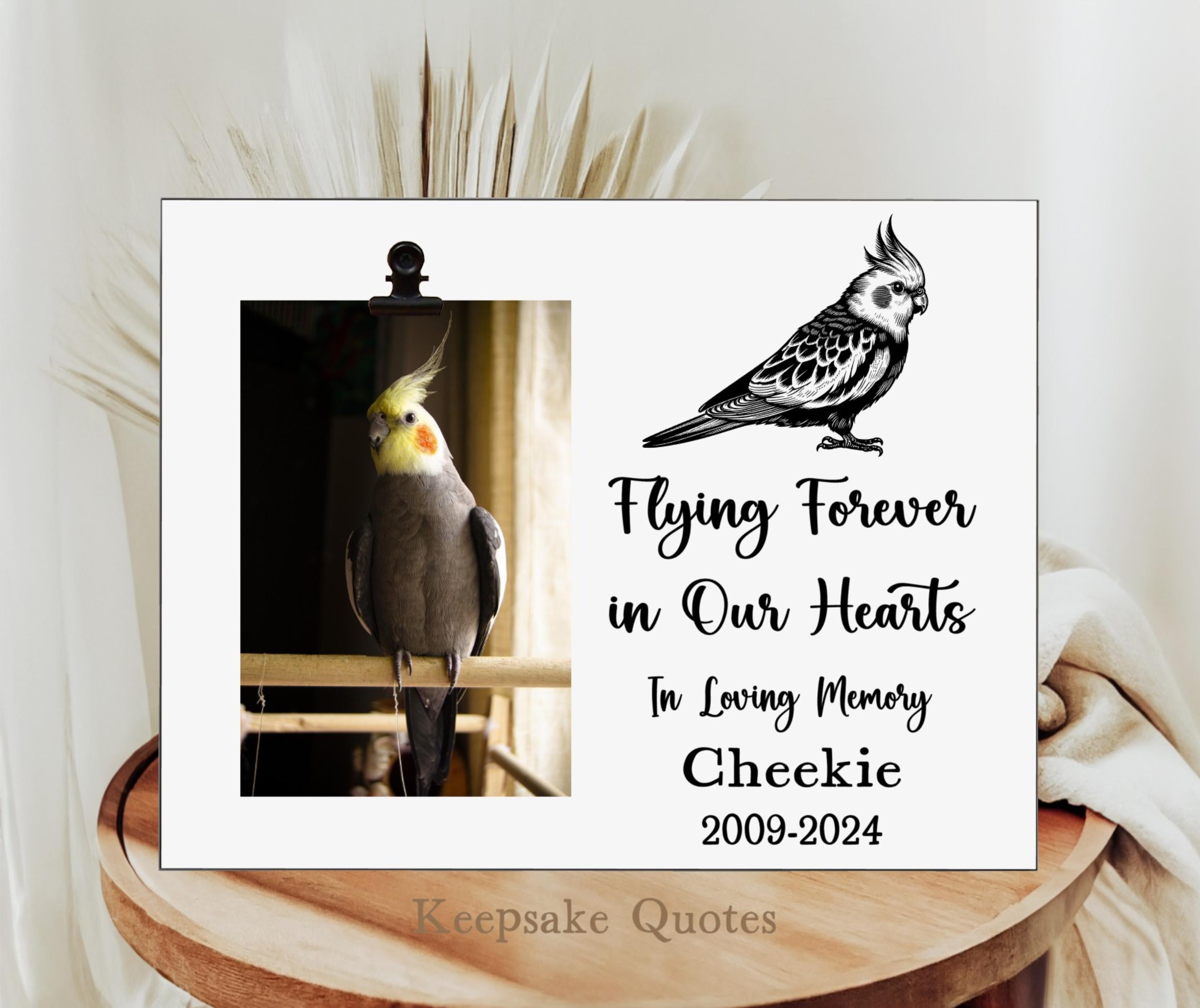 Cockatiel Memorial Gift, Personalized Pet Bird Memorial Picture Frame ...