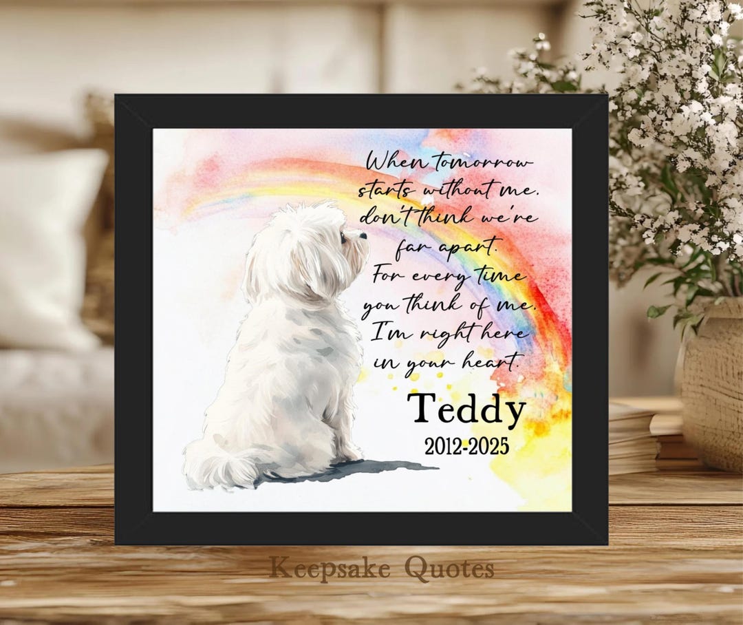 Personalized Maltese Dog Memorial Gift, Custom Dog Name Gift, Rainbow ...