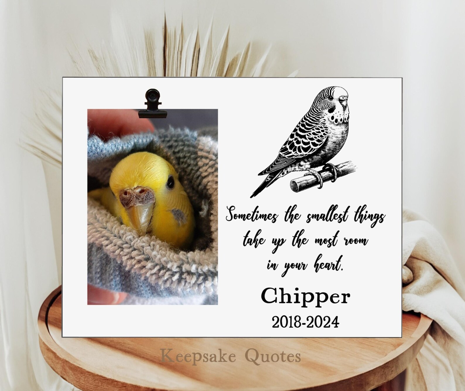 Parakeet Memorial Gift Loss of Bird Memorial Picture Frame in Memory of ...