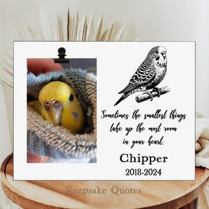 Parakeet Memorial Gift Loss of Bird Memorial Picture Frame in Memory of ...
