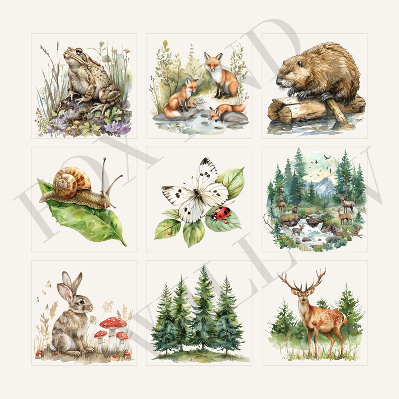 Woodland Animals Watercolor Clipart, Transparent Commercial Use PNG ...