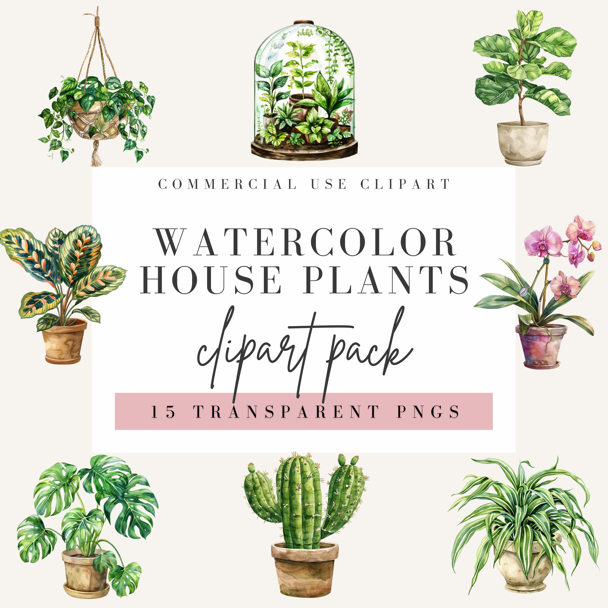 House Plants Clipart, Watercolor Style, Transparent Background ...