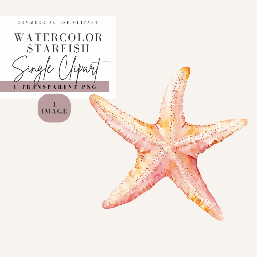 Starfish Clipart, Watercolor Style, Transparent Background, Commercial ...