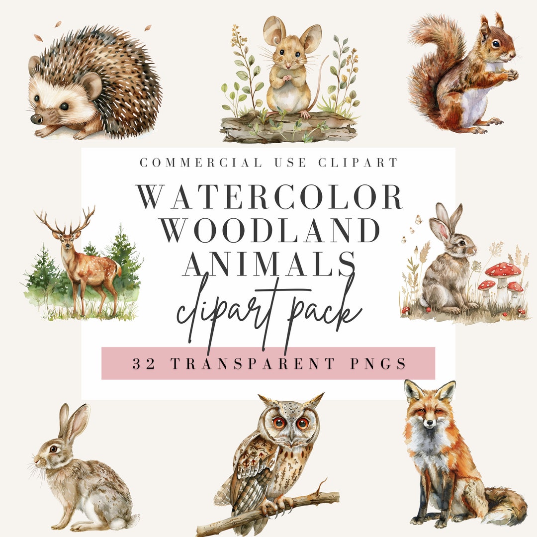 Woodland Animals Watercolor Clipart, Transparent Commercial Use PNG ...