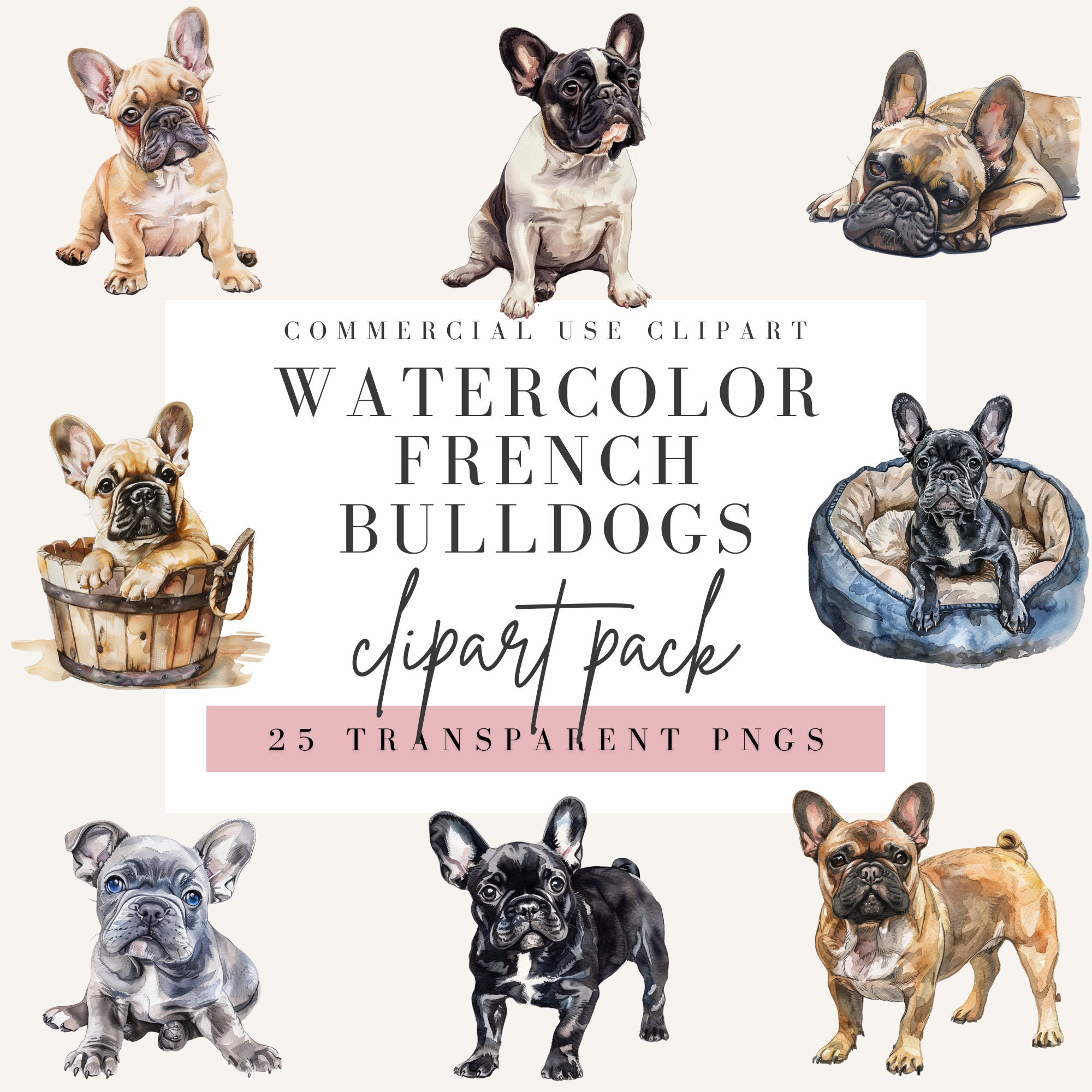 French Bulldog Watercolor Clipart, Transparent Commercial Use PNG, Cute ...