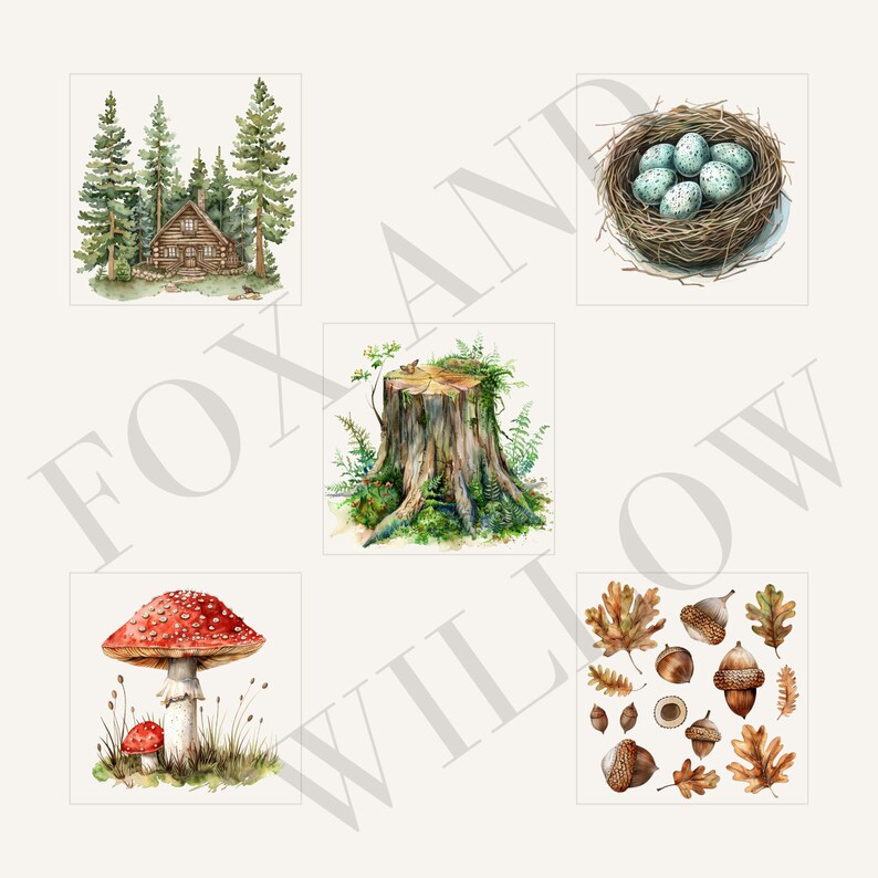 Woodland Animals Watercolor Clipart, Transparent Commercial Use PNG ...