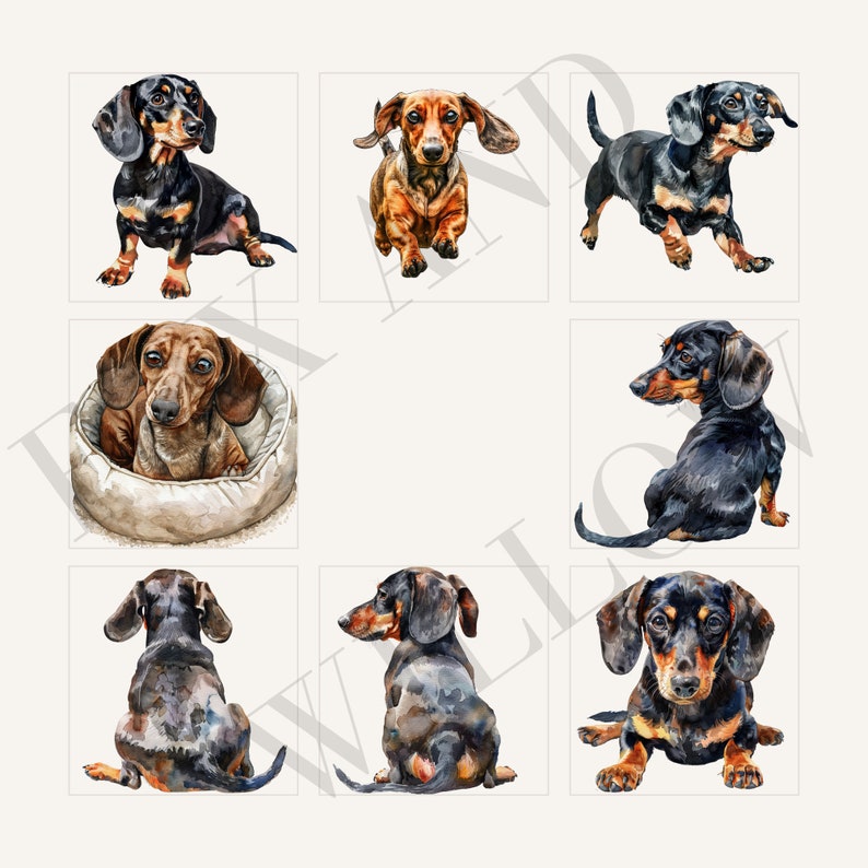 Dachshund Watercolor Clipart, Transparent Commercial Use PNG, Cute ...