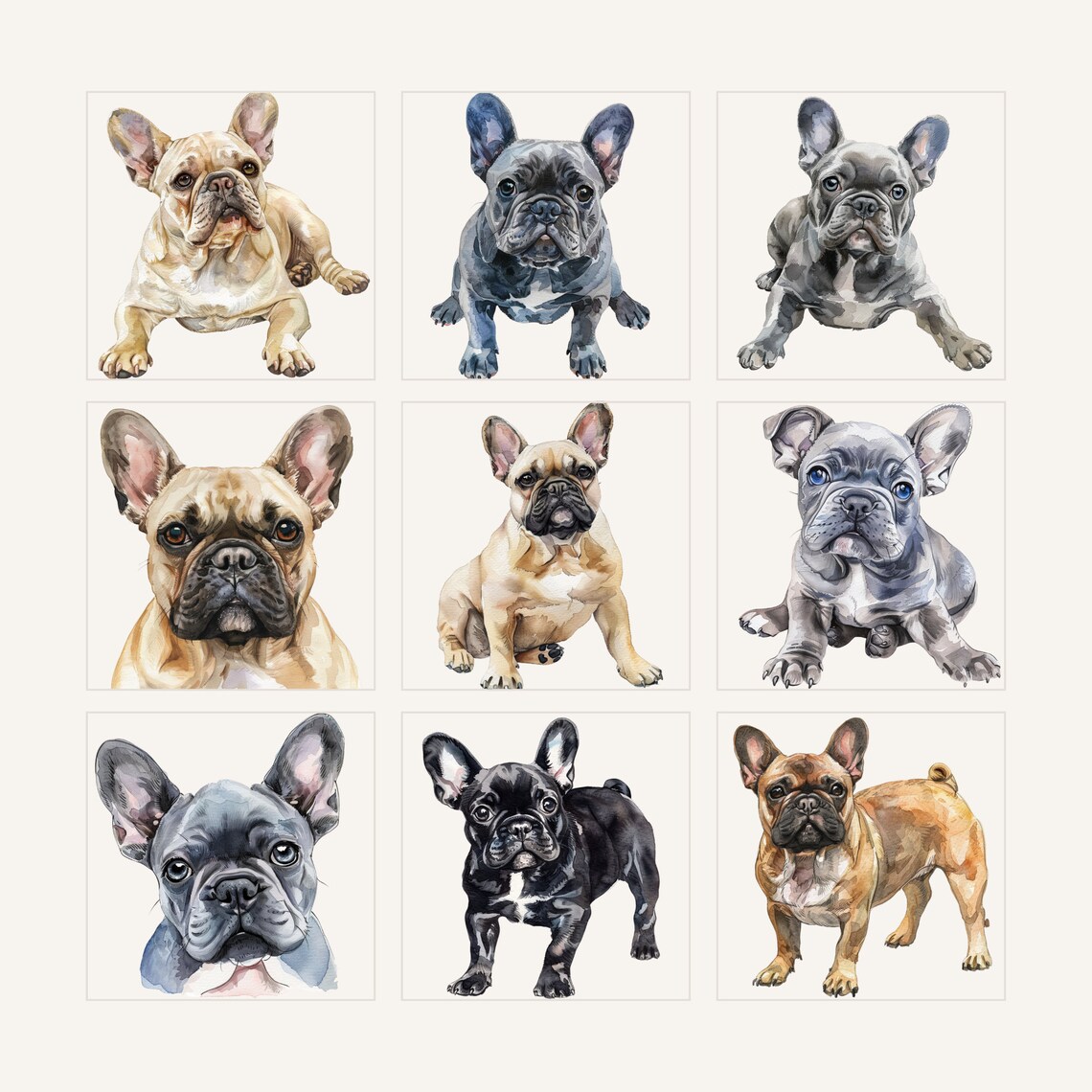 French Bulldog Watercolor Clipart, Transparent Commercial Use PNG, Cute ...