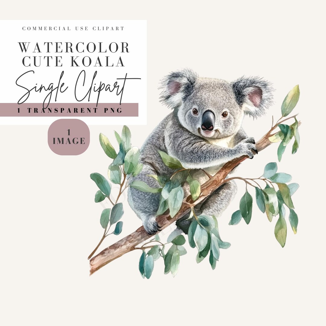Cute Koala Clipart, Baby Shower Clip Art, Nursery Design, Animal Image ...
