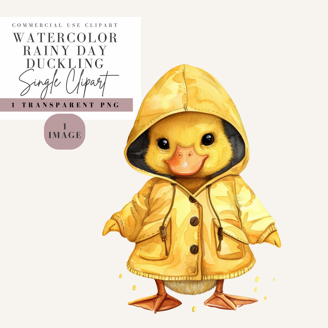 Duckling Clipart, Watercolor Style, Transparent Background, Commercial ...
