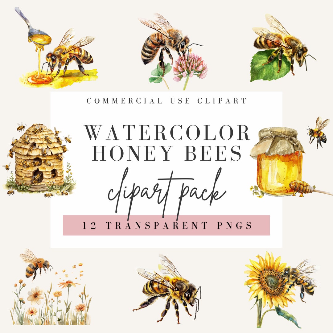 Honey Bees Clipart, Watercolor Style, Transparent Background ...