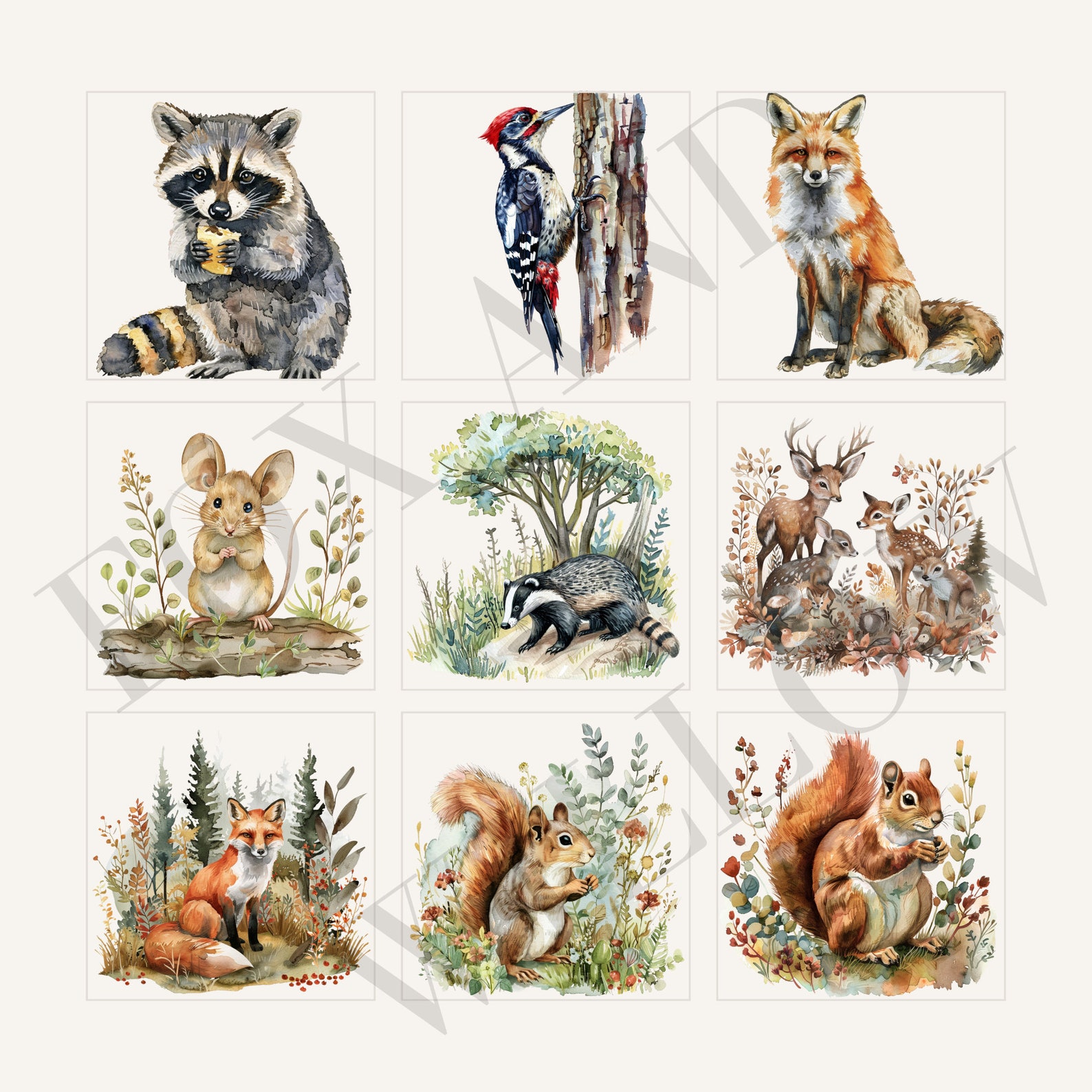 Woodland Animals Watercolor Clipart, Transparent Commercial Use PNG ...