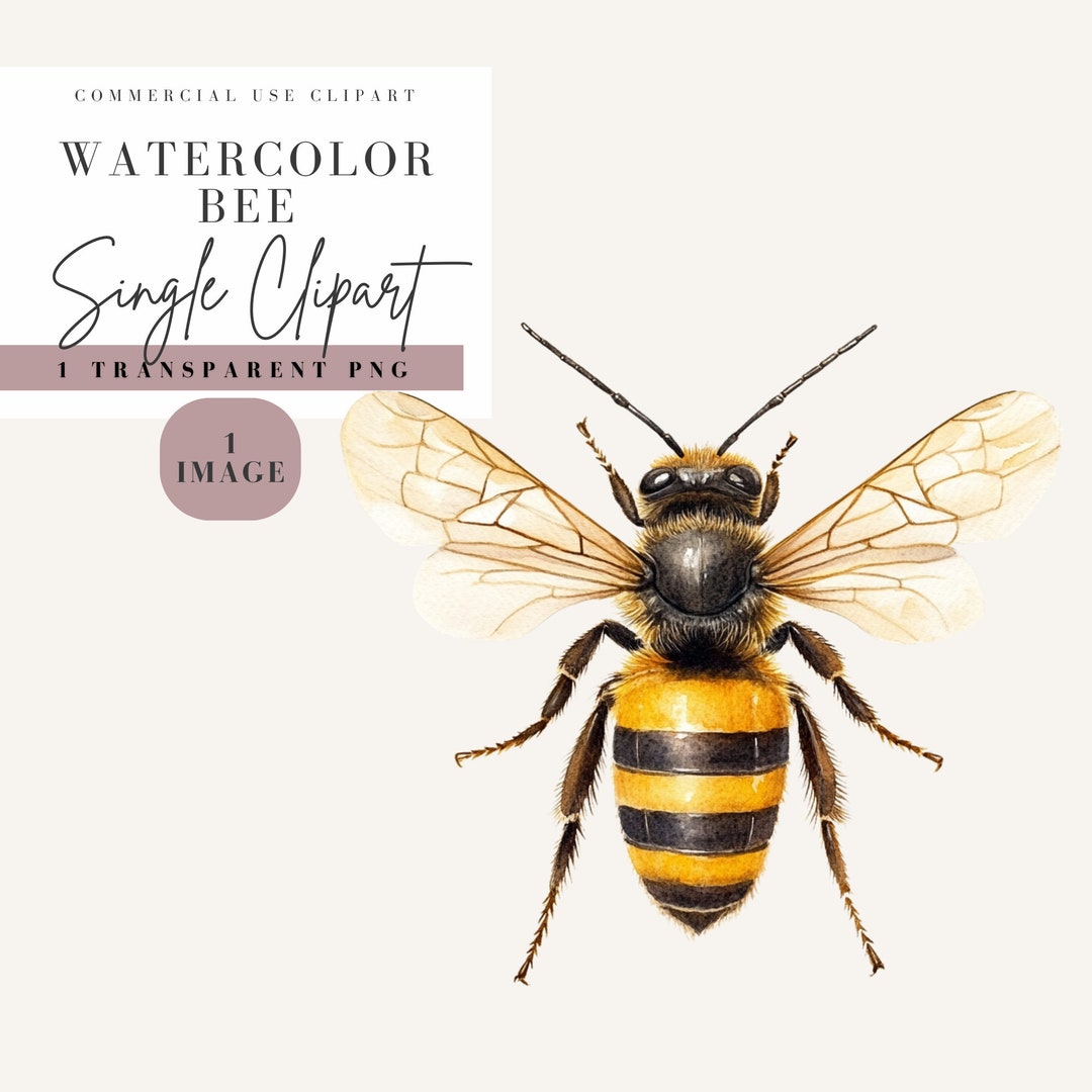 Bee Clipart, Watercolor Style, Transparent Background, Commercial Use ...