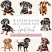 Dachshund Watercolor Clipart, Transparent Commercial Use PNG, Cute ...